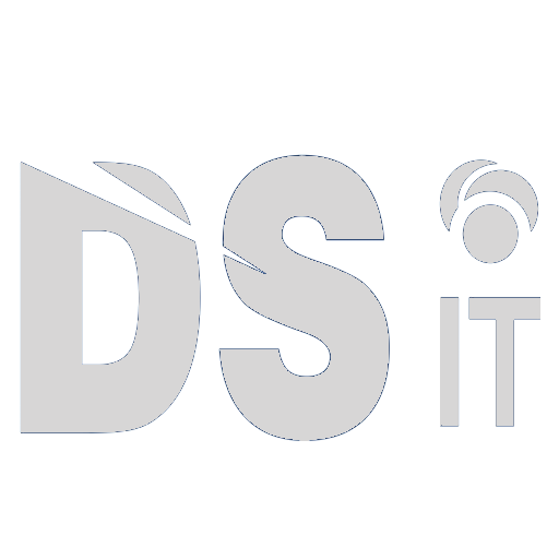 DS-IT – Best service providers
